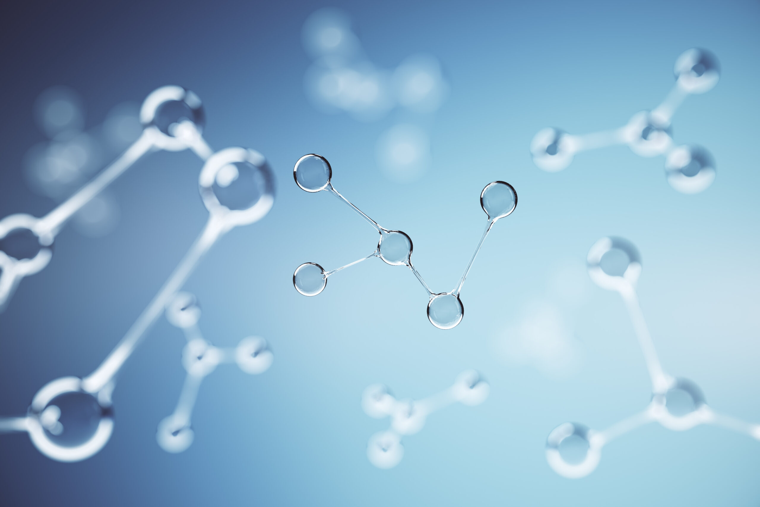 Management Team - MVE Biological Solutions