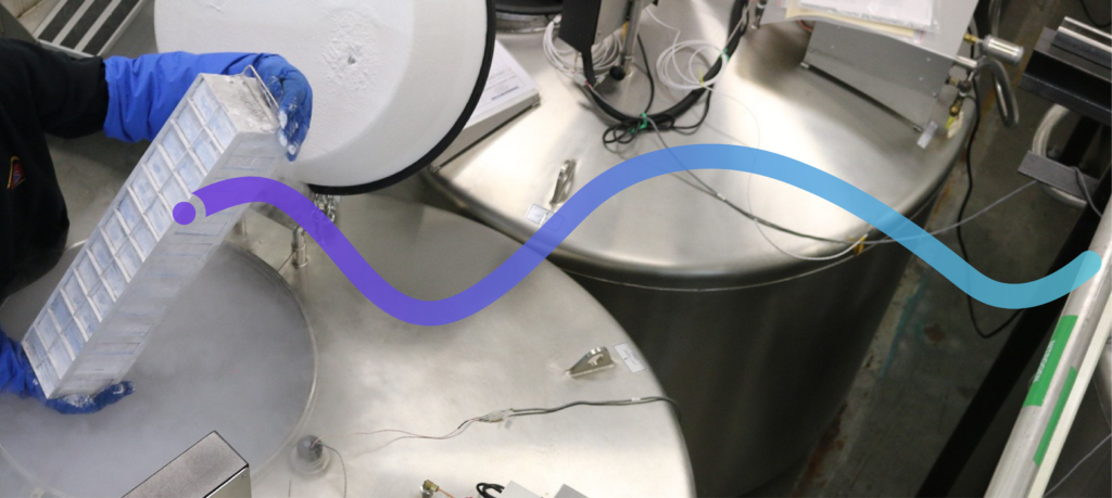 我们的产品 - MVE Biological Solutions